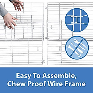 Kaytee Open Living Pet Rabbit or Guinea Pig Habitat, 48" x 24"