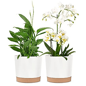 kubvici Planters for Indoor Plants, 8 Inch Plant Pots 2 Pack Flower Pots with Drainage and Saucer for Indoor Outdoor Plants, Plastic Indoor Planter Garden Pot White 8”