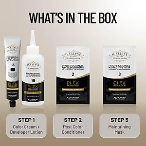 Il Salone Milano Plex Rebuilder Permanent Hair Color Cream - 12.01 Iced Platinum Professional Hair Dye Kit for a Natural Gloss & Glaze - Paraffin, Paraben, and Alcohol Free