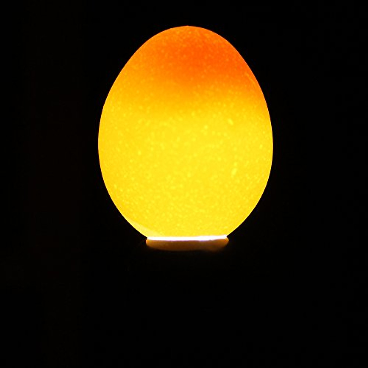 Flexzion Egg Candler Tester, Bright Cool LED Light Candling Lamp for All Chicken Dark Quail Duck Canary Eggs, Portable Flashlight Incubator w/Charger Adapter