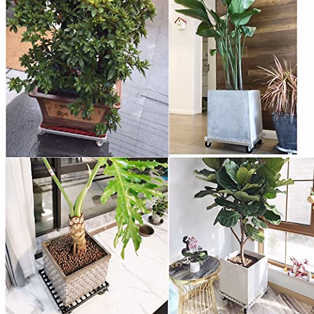 GVILTY Plant Caddy with Wheels Heavy Duty,Rolling Plant Stand 330lb Capacity, Outdoor Planter Caddies Large Flower Pot Mover Plant Dolly Holder Planter Trolley Casters black-46cm/18in