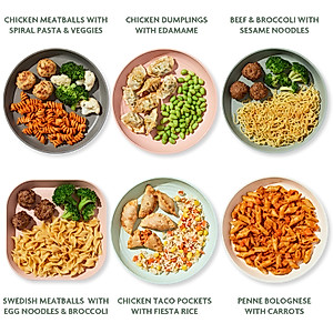 Nurture Life Healthy Toddler & Kid Food Favorites 6-Meal Variety Pack (including Chicken Meatballs and Pasta), Organic Focus