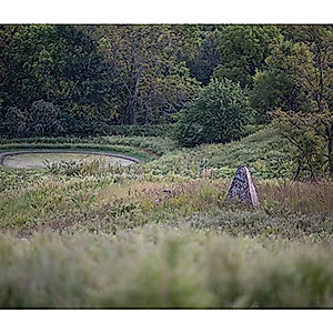 Ameristep Outhouse Lightweight Durable Hunting Spring Steel Mossy Oak Break-Up Country Ground Blind - 1 Hunter Concealment - Easy Setup & Takedown