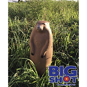 Real Wild 3D Ground Hog Archery Target