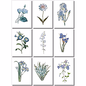 Blue Flower Wall Art - Vintage Floral Wall Decor - Botanical Prints - Unframed (5x7)