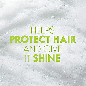 Head and Shoulders, Dandruff Shampoo, Green Apple - 13.53 Fl Oz (Pack of 3)