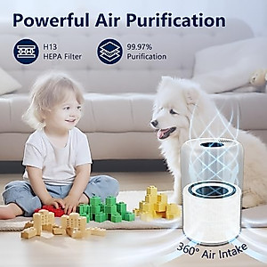 Funmit Core P350 Pet Care Replacement Filter for LEVOIT Core P350 Air Purifier, 3-in-1 New Fine Non-Woven Fabric Pre, H13 True HEPA, Activated Carbon Filter with ARC Formula, Core P350-RF, 2 Pack