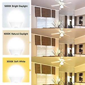 SHINESTAR 150 Watt LED Bulb, Daylight 5000K, 2500 Lumen A21 Bright Light Bulbs Indoor, E26 Standard Base, Non-dimmable, 2-Pack