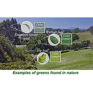 Susan Harrison-Tustain's Watercolor Masterclass Volume One. Life-like leaves, vibrant greens and 5 crucial elements for a successful painting.