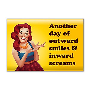 4 Pack Refrigerator Magnets - Funny Fridge Magnet - Perfect Housewarming Gift, or Gift for Women Friends