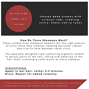 Watercolors Semi Permanent Color Depositing Shampoo. Sulfate & Paraben Free to Maintain & Enhance Hair Color 8 fl oz - CRIMSON SPLASH (2 Count)