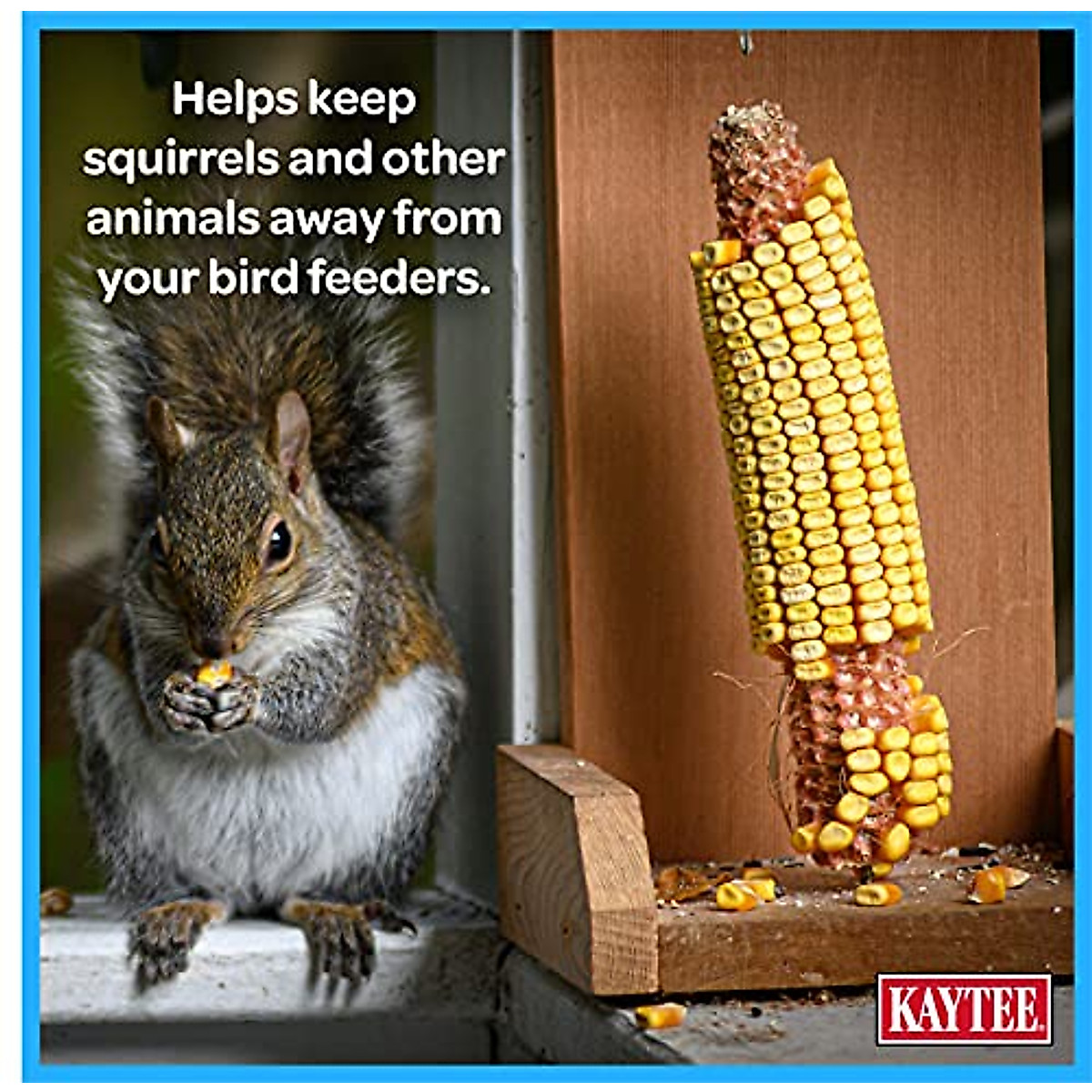 Kaytee Corn On The Cob Food For Wild Squirrels, Rabbits, Chipmunks and Other Backyard Wildlife, 6.5 Pound
