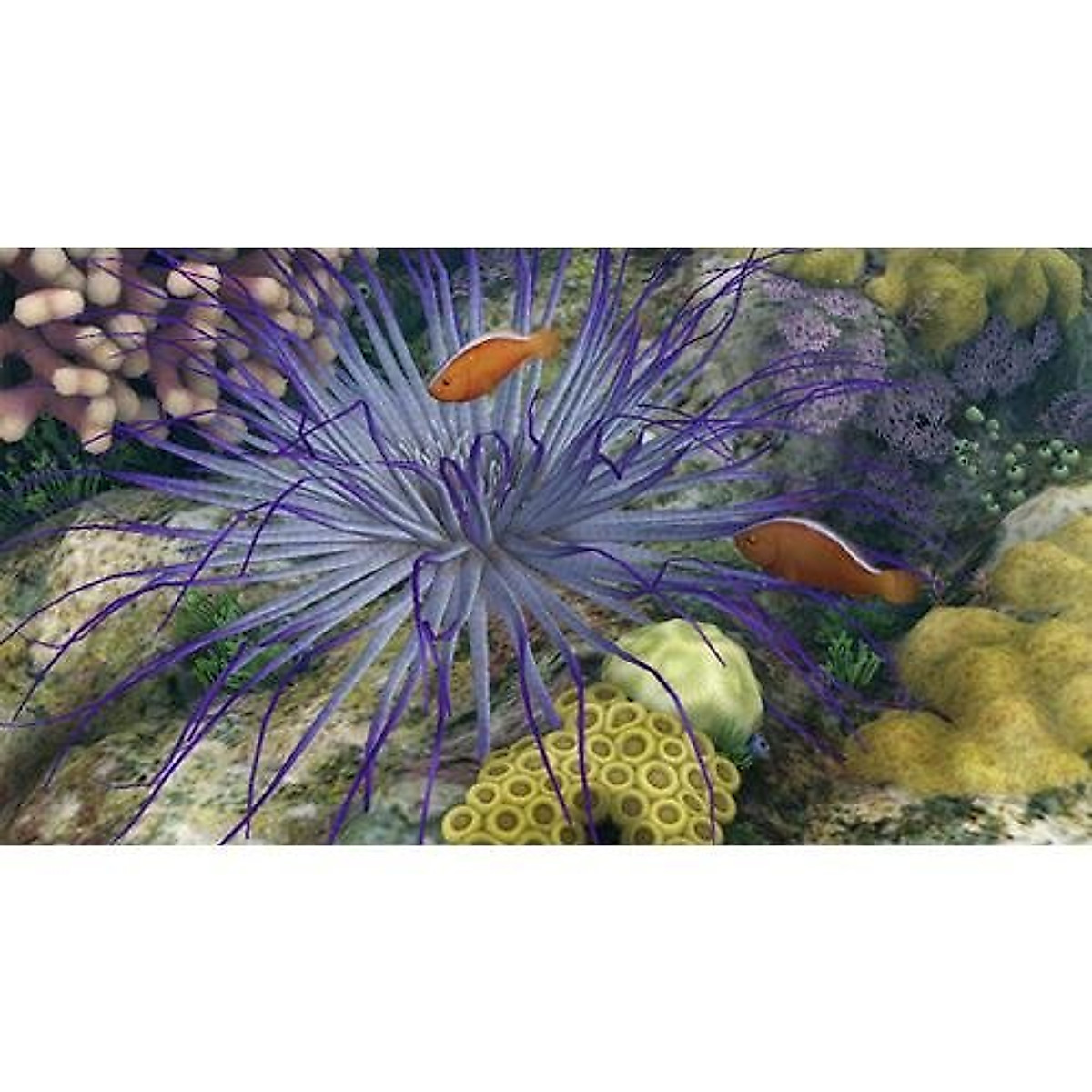 Endless Ocean: Blue World - Nintendo Wii (Renewed)