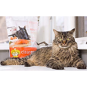 Dr. Elsey's Cleanprotein Salmon Formula Dry Cat Food, 6.6 Lb