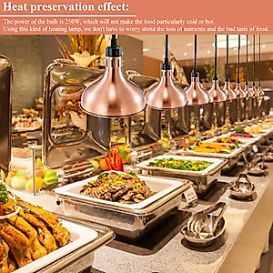 JIAWANSHUN Food Heat Lamp Food Warmer Lamp Bulb 250W Commercial Food Warmers 60-180mm Adjustable Hanging Food Heat Lamps Restaurant Supplies Food Service Heating Lamp 110V