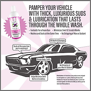 Garry Dean's Infinite The Perfect Soap Automotive Detailing Supplies PH Neutral Shampoo (8 fl oz)