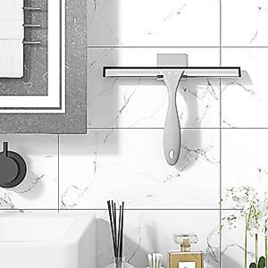 AmazerBath Squeegee for Shower Glass Door, Shower Squeegee for Glass Doors - All-Purpose Squeegee with Hook for Shower Doors, Windows, Mirrors, Tiles and Car Glass, 10 Inches