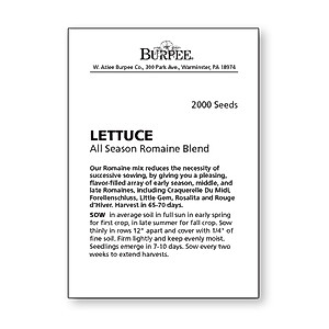 Burpee All Season Romaine Blend Lettuce Seeds 2000 seeds
