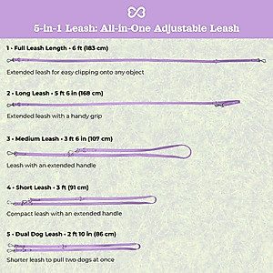 Dog Harness and Leash Set | BearBone No Pull Dog Harness and Waterproof Dog Collar and Leash Set | Heavy Duty Dog Harness, Leash and Collar | Medium Dog Harness, Leash and Collar (Lilac, Medium)