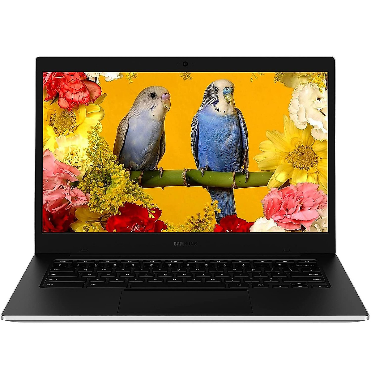 Samsung Galaxy Chromebook Go 14" Laptop for Student, Intel Celeron N4500 Processor up to 2.8GHz, 4GB LPDDR4 RAM, 64GB eMMC, WiFi 6, Silver, Chrome OS (Renewed)