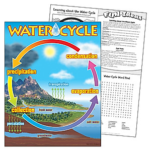 TREND enterprises, Inc. The Water Cycle Learning Chart, 17" x 22"