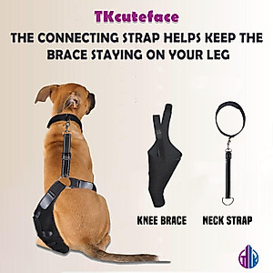 Tkcuteface Dog Knee Brace for ACL, Knee Cap Dislocation, Arthritis - Full Wrap - Easy Adjustable - Extra Support - Reduces Pain and Inflammation – Full Sizes (Medium), Black