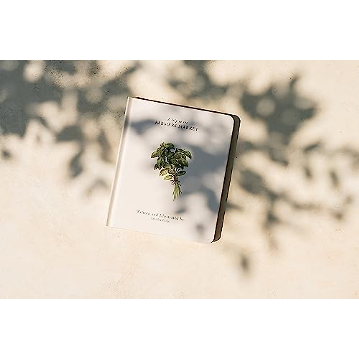 Our Little Adventures: Stories Featuring Foundational Language Concepts for Growing Minds (Our Little Adventures Series)