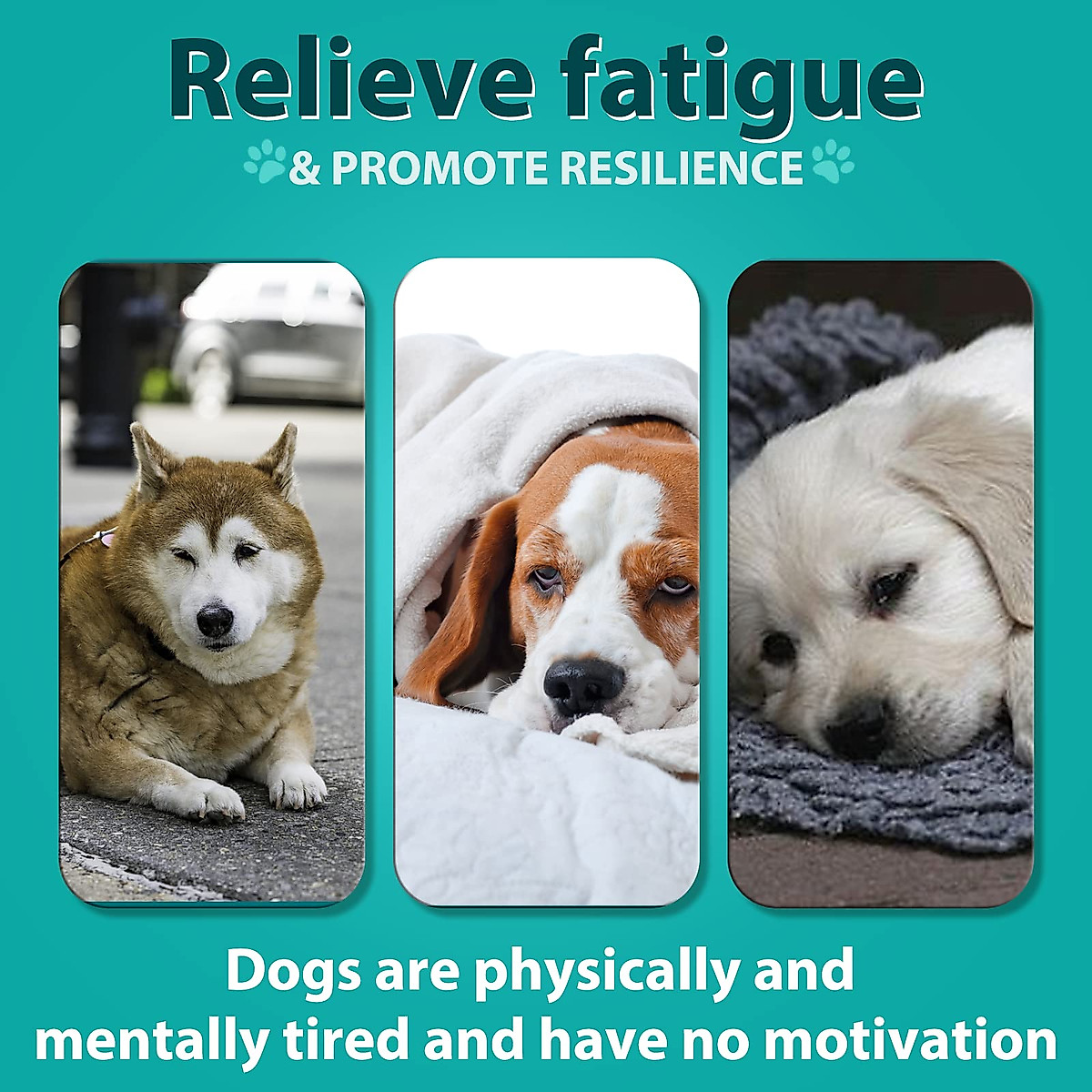 Calming Chews For Dogs - 110 Chews Hemp Dog Treats For Calming with Anxiety and Stress, Helps Dog Anxiety, Separation, Barking, Stress Relief, Sleep Calming Aid All Ages,Breeds&Size (CHICKEN Flavor)