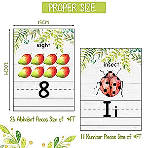 36 Classroom Alphabet Bulletin Board Set Alphabet Line for Classroom Wall ABC and Number Strip Border Alphabet Posters Kids Educational Learning Card for Kindergarten Preschool Classroom Decorations