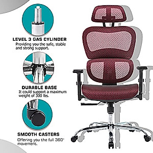 Ergonomic Office Chair, Reclining High Back Mesh Chair, Computer Desk Chair, Swivel Rolling Home Task Chair with Lumbar Support, 3D Adjustable Headrest and Armrests