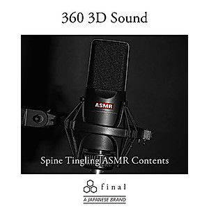 Final E500 - Immersive 3D Live Sound Earphones for VR, ASMR, Gaming and 360 Music, Black