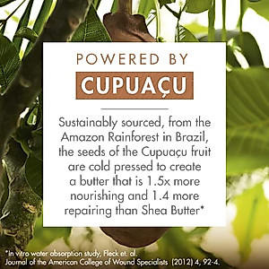 Klorane Shampoo with Organic Cupuaçu Butter, Nourishing & Repairing for Very Dry Damaged Hair, SLS/SLES-Free, Biodegradable, 13.5 fl. oz.