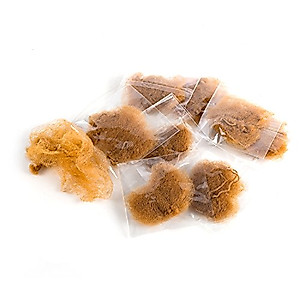 Deoot 10 Pcs Invisible Hair Nets Elastic Edge Mesh for Women Bun,Light Coffee