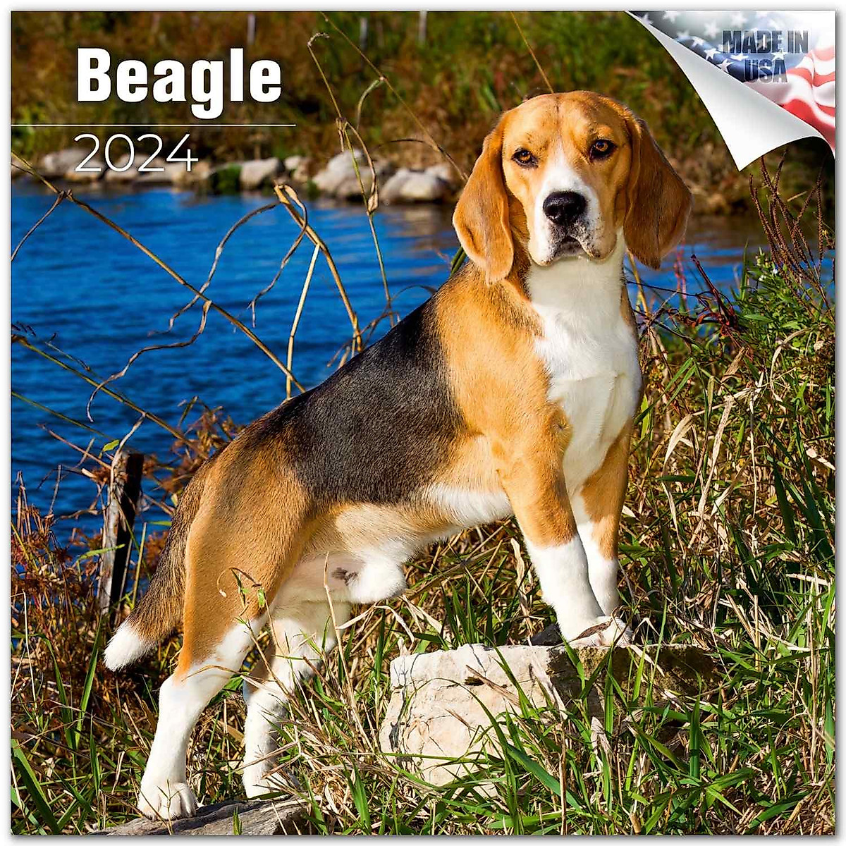 2023 2024 Beagle Calendar - Dog Breed Monthly Wall Calendar - 12 x 24 Open - Thick No-Bleed Paper - Giftable - Academic Teacher's Planner Calendar Organizing & Planning - Made in USA