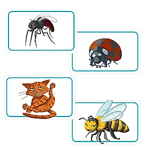 Concept Kids Animals - Cooperative Animal Guessing Game for Children! Fun Family Board Game for Kids & Adults, Ages 4+, 2-12 Players, 20 Minute Playtime, Made by Repos Production