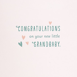 Hallmark Baby Greeting Card for Grandparents (Warm and Cuddly New Grandbaby)