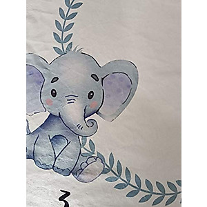 Baby Monthly Milestone Blanket Twins Neutral Blue Elephant Newborn Nursery Decor Photo Props Shoots Photography Growing Toddlers Soft Fleece Swaddle Blanket with Wreath Frames