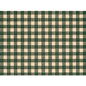 Printed Tissue Paper for Gift Wrapping with Design (Tan and Green Gingham), 24 Large Sheets (20x30)