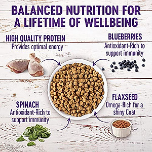 Wellness Complete Health Large Breed Dry Dog Puppy Food with Grains, Natural Ingredients, Made in USA with Real Meat (Puppy, Chicken, Salmon & Rice, 30-Pound Bag)