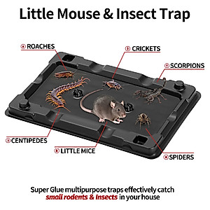 LULUCATCH Mouse & Insect Traps 12 Pack, Heavier Sticky Traps with Non-toxic Glue for Small Mice & Insects. Sticky Mouse Traps Indoor, Easy to Set, Safe to Children & Pets