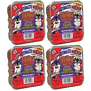 Berry Treat Wild Bird Suet [Set of 4]