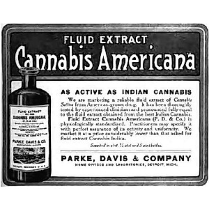 What If Cannabis Cured Cancer