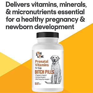 Bitch Pills | Dog Prenatal Vitamins | Prenatal Vitamins for Dogs | Prenatal for Dogs | Thomas Pet Earlier | 120 Tablets