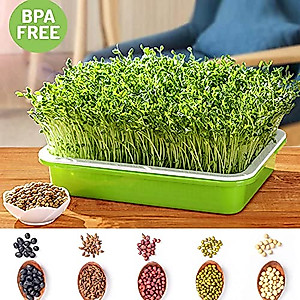 Seed Sprouter Trays 3 Packs , Microgreens Growing Trays Nursery Tray Bean Sprouts Sprouting Container Kit with Lid Wheatgrass Cat Grass Seedling Planting Storaging Trays for Garden Home Office