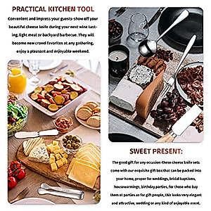 20 Pieces Cheese Butter Knife Set Charcuterie Board Accessories Spreader Slicer Knife Stainless Steel Blade with Porcelain Wooden Handles Mini Serving Tongs Spoons Forks for Christmas (Chic Style)