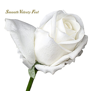 DILATATA Artificial Realistic Roses White Flowers 24" Real Touch Silk Roses Bouquet Long Stems Rose Fake Roses Decor for Home Party Wedding Table Centerpieces Roses Realistic - 5 Pcs