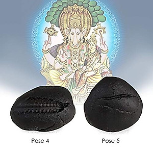Vedic Vaani Divine Very Rare Hayagriva Vishnu Religious Natural Shaligram Shila/Stone Origin from Nepal Gandaki River, for Bring Wisdom, Prosperity and Success, India