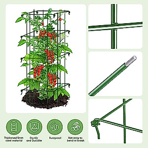 Square Tomato Cages for Garden,Migtory 39 Inches 2 Packs Square Tomato Cages Trellis,Heavy Duty Steel Garden Plant Support Stakes with 164 Feet Twist Tie for Climbing Vegetables Flowers Fruits Plants