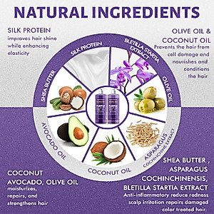 Natural Riches Purple Shampoo and Conditioner Set Sulfate Free Salon Grade for Silver Blonde Platinum Hair. Removes Yellow & Brass tones. Grey Highlighted Hair 16x2 fl oz