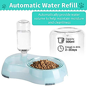 BINGPET Automatic Feeder Slow Food and Refill Water Bowl for Cat & Dog, Removable Automatic Water Dispenser and Slow Food Bowl, Non-Slip Pet Feeder Water Bowls for Cats and Puppies